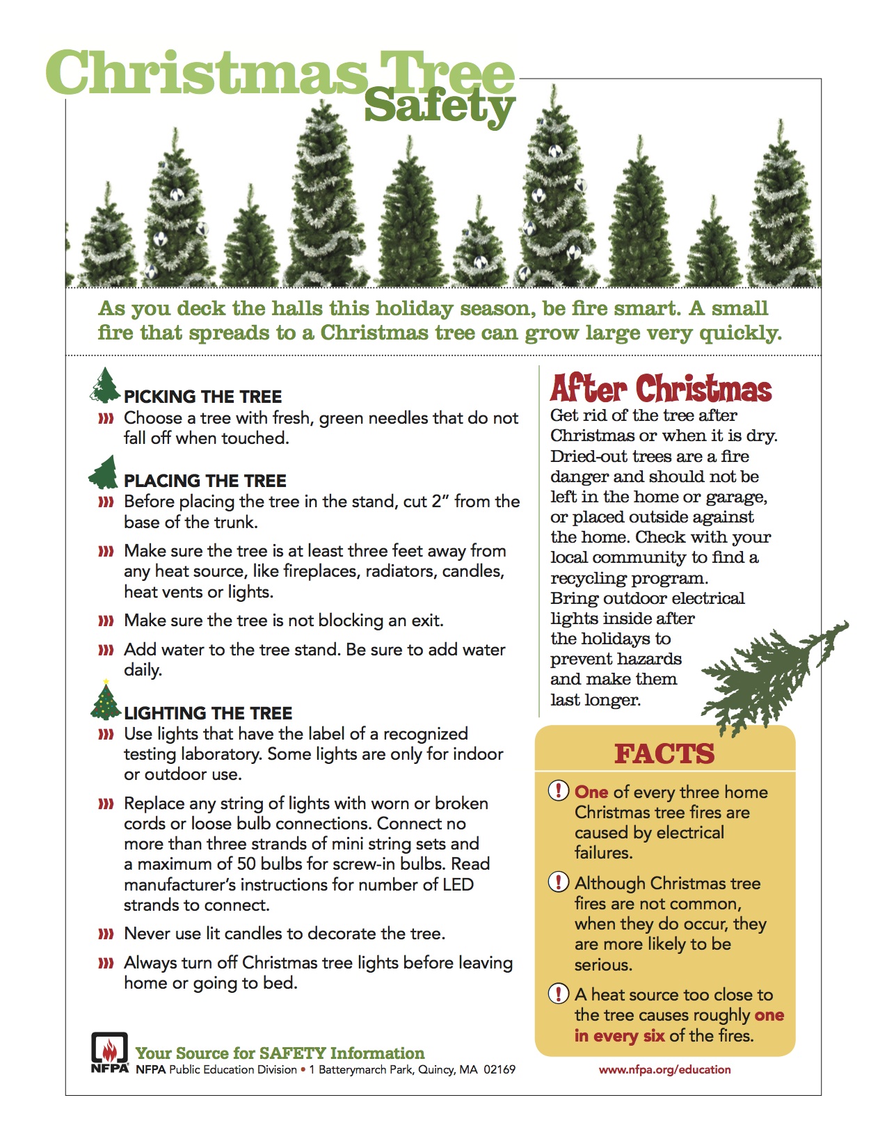 Safety information_Safety tip sheets_christmastreesafetytips copy ...